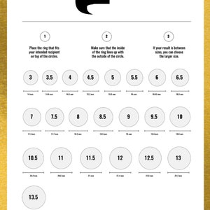 Venus Seashell Ring Real Venus Clam Shell Electroformed in - Etsy