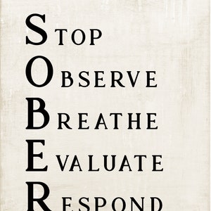 The Word SOBER Acronym Metal Print on Reclaimed Wood Frame-recovery ...