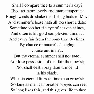 Sonnet 18 Metal Print on Reclaimed Wood Frame-shall I Compare Thee to a ...