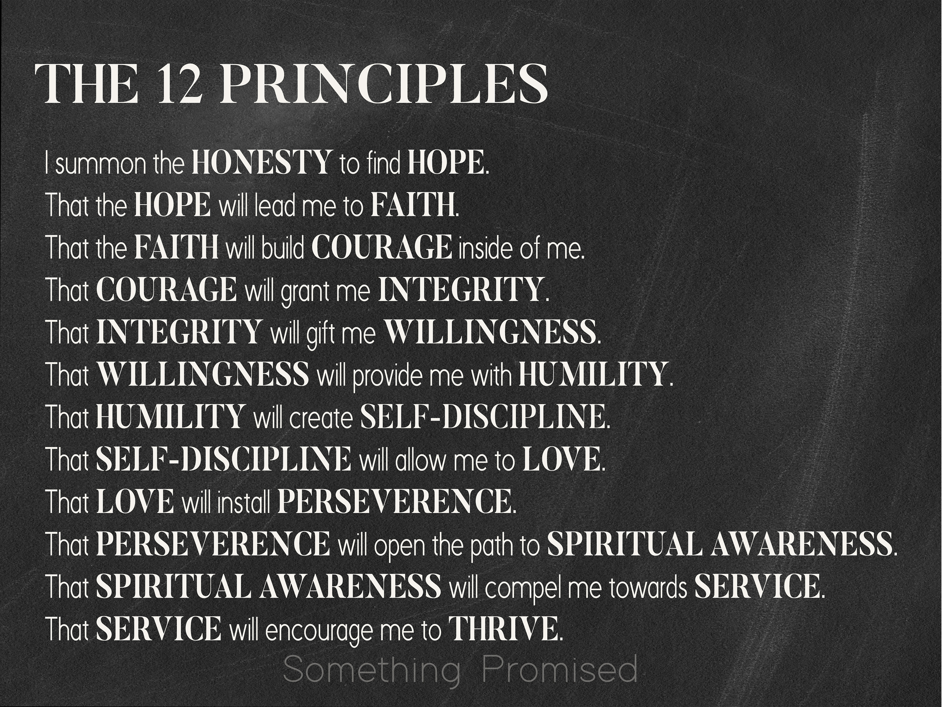12 Principles of AA Metal Print on Reclaimed Wood Frame Spiritual Wall ...