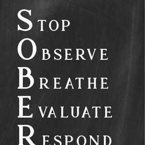 The Word SOBER Acronym Metal Print on Reclaimed Wood Frame-recovery ...