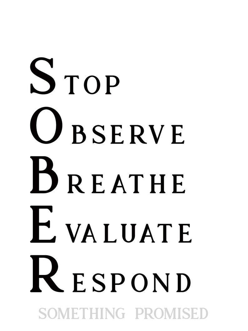 The Word SOBER Acronym Metal Print on Reclaimed Wood Frame-recovery ...