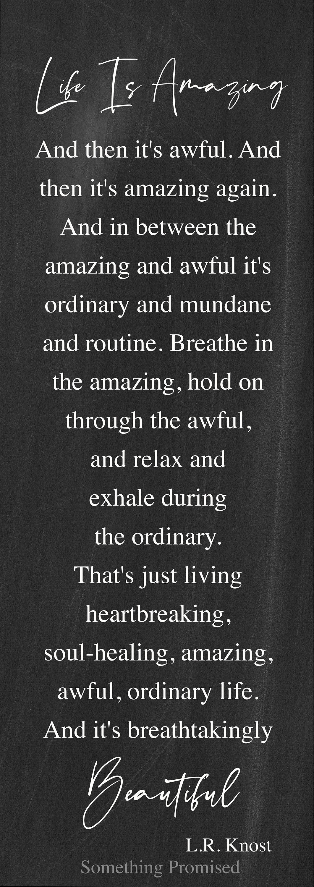 Life is Amazing Poem Metal Print on Reclaimed Wood Frame-l.r. Knost ...