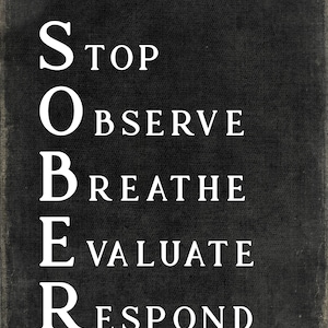 The Word SOBER Acronym Metal Print on Reclaimed Wood Frame-recovery ...