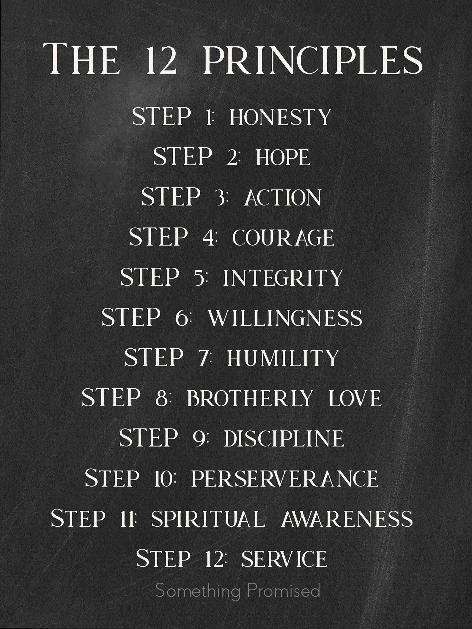 Recovery Sign-12 Principles of AA Metal Print on Reclaimed Wood Frame ...