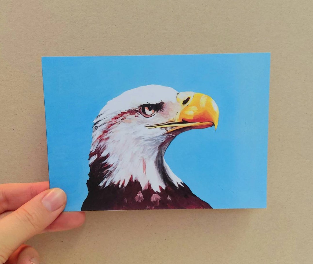 Postcard Adler Bald-sea Eagle - Etsy UK