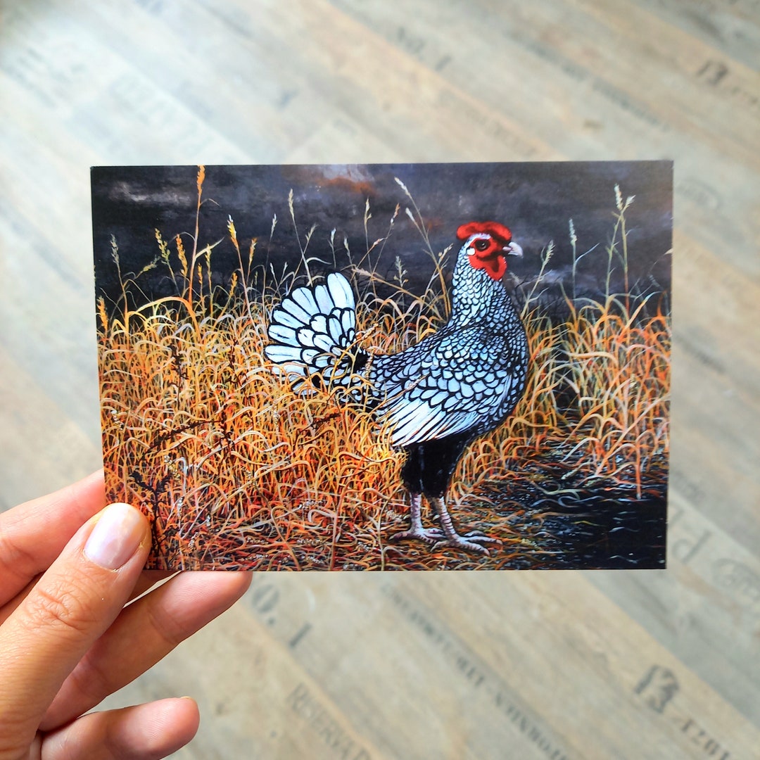 Postcard Chicken Easter Card - Etsy