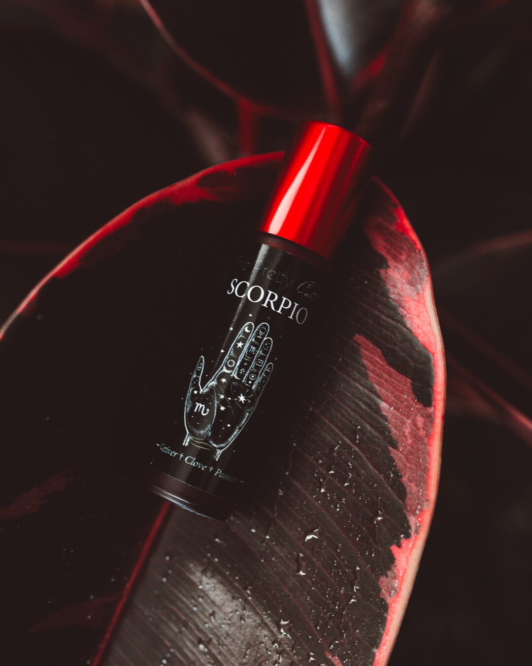 Scorpio Zodiac Perfume - Etsy