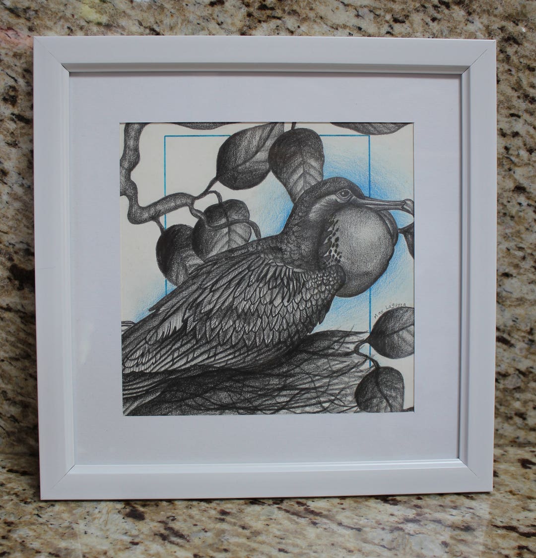 Original bird graphite pencil drawing - Etsy Italia