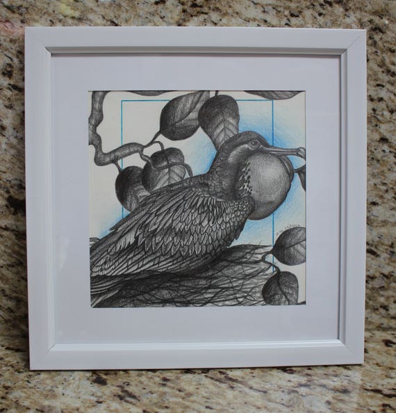 Original bird graphite pencil drawing - Etsy Italia