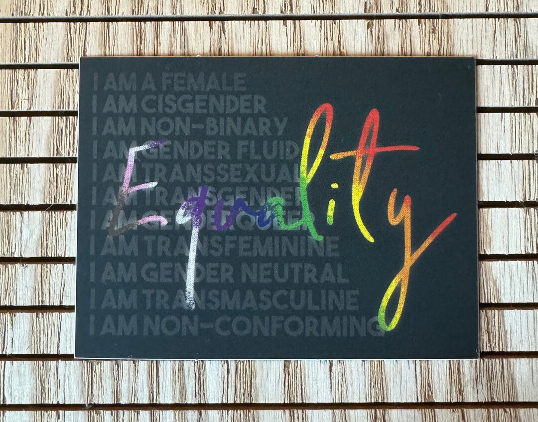 Equality Sticker LGBTQ Supporter Bumper Sticker Respect Vinyl Sticker ...