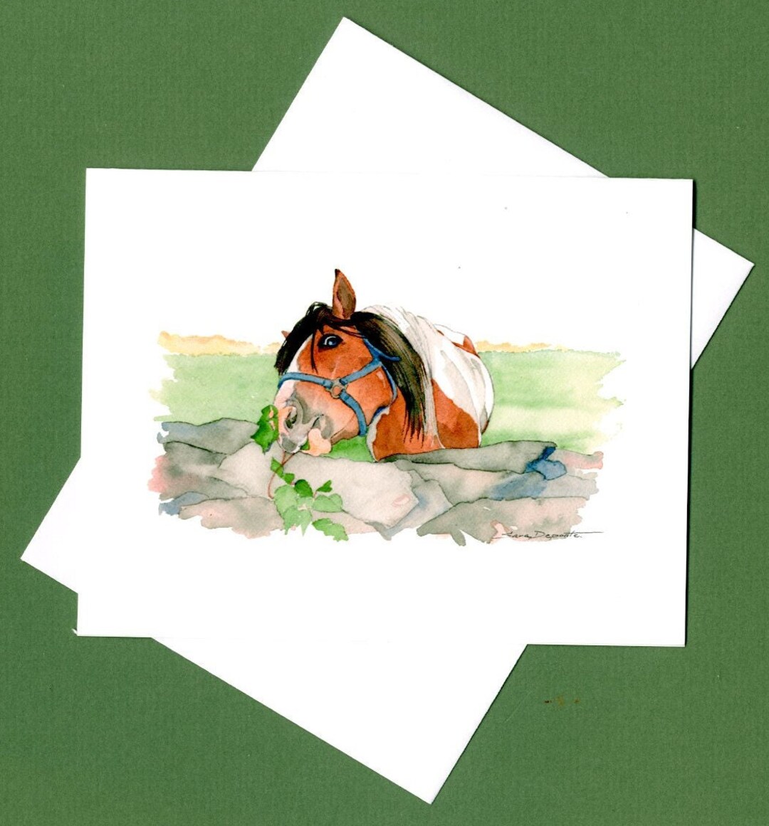 Gotcha - 8 Boxed Cards - Etsy