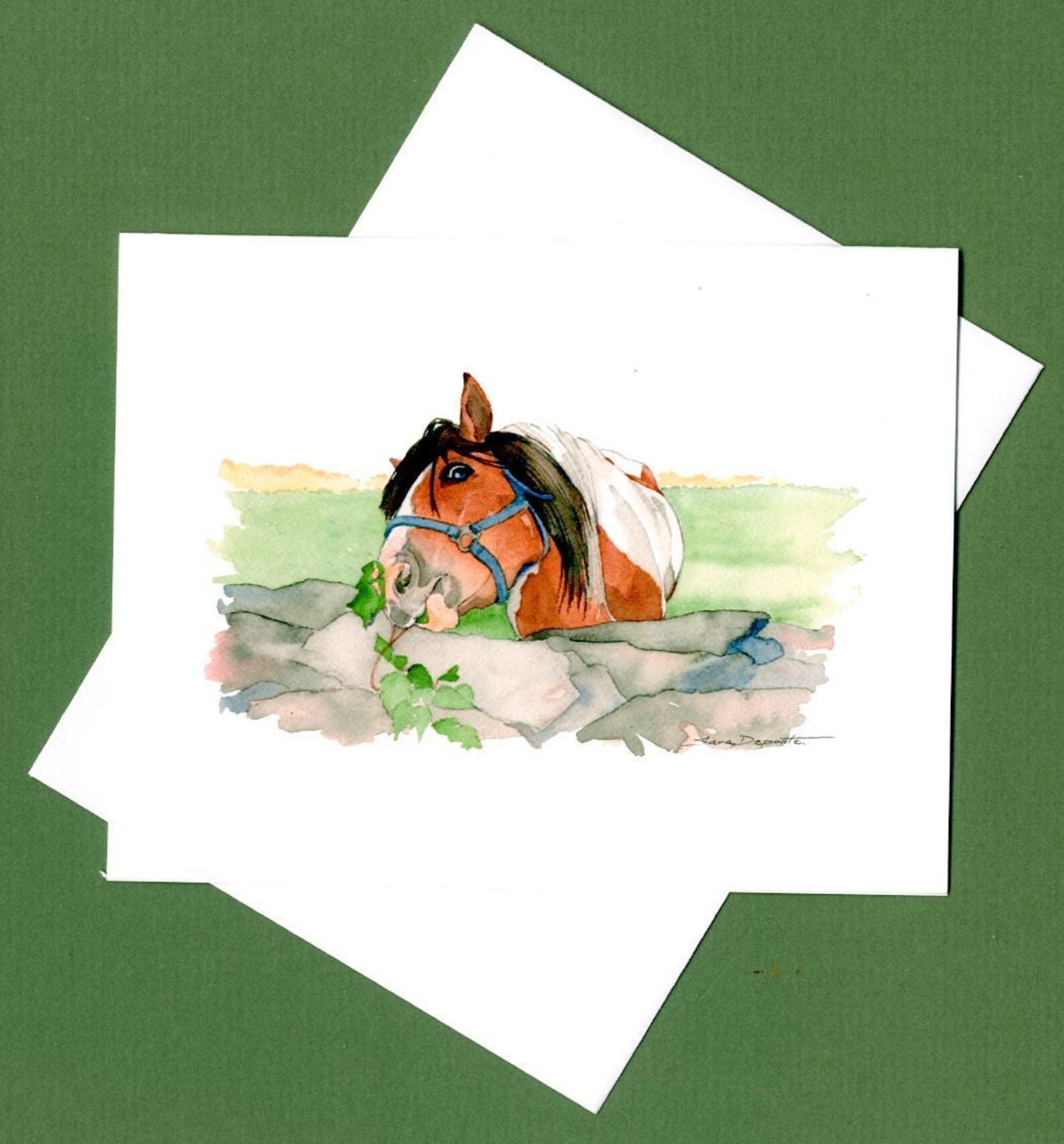 Gotcha - 8 Boxed Cards - Etsy
