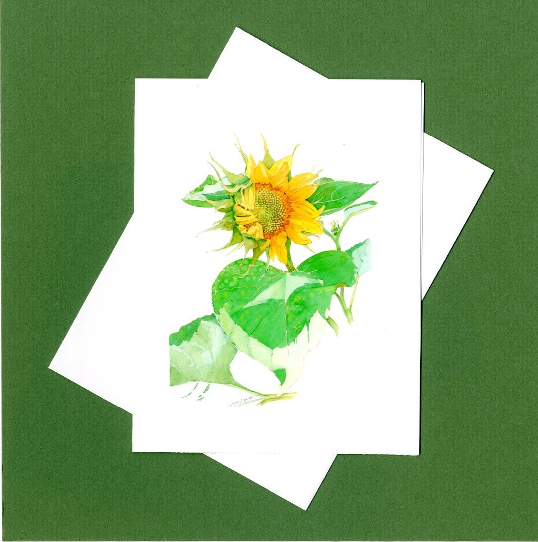 Shy One - 8 Boxed Note Cards - Etsy