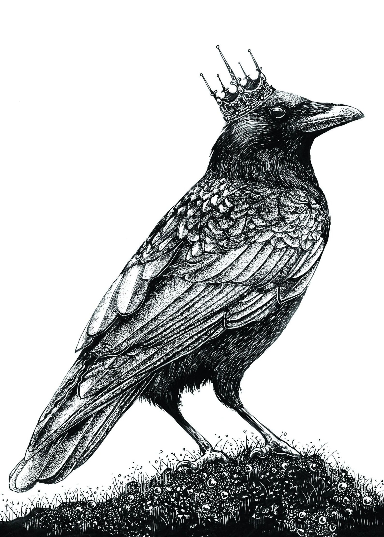 King Crow Art Print - Etsy