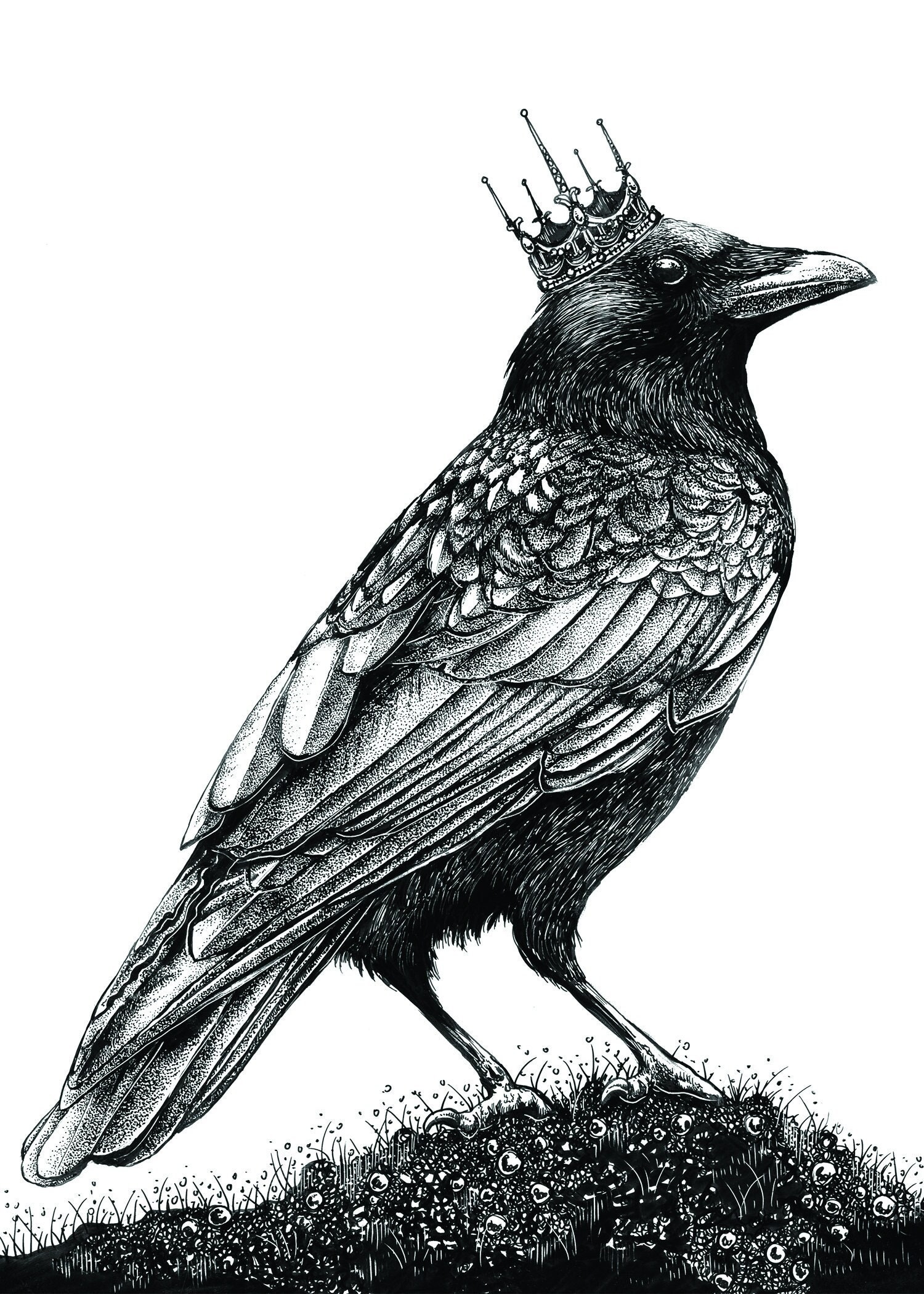 King Crow Art Print - Etsy