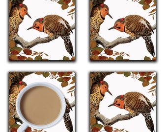 Northern Flicker - Etsy