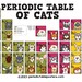 Periodic Table of Cats Poster - Etsy