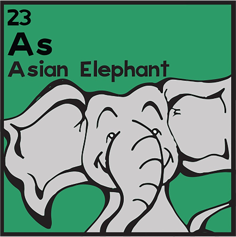 Periodic Table of Zoo Animals Poster - Etsy