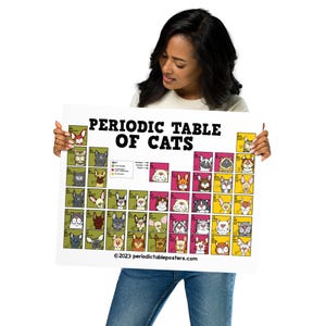 Periodic Table of Cats Poster - Etsy