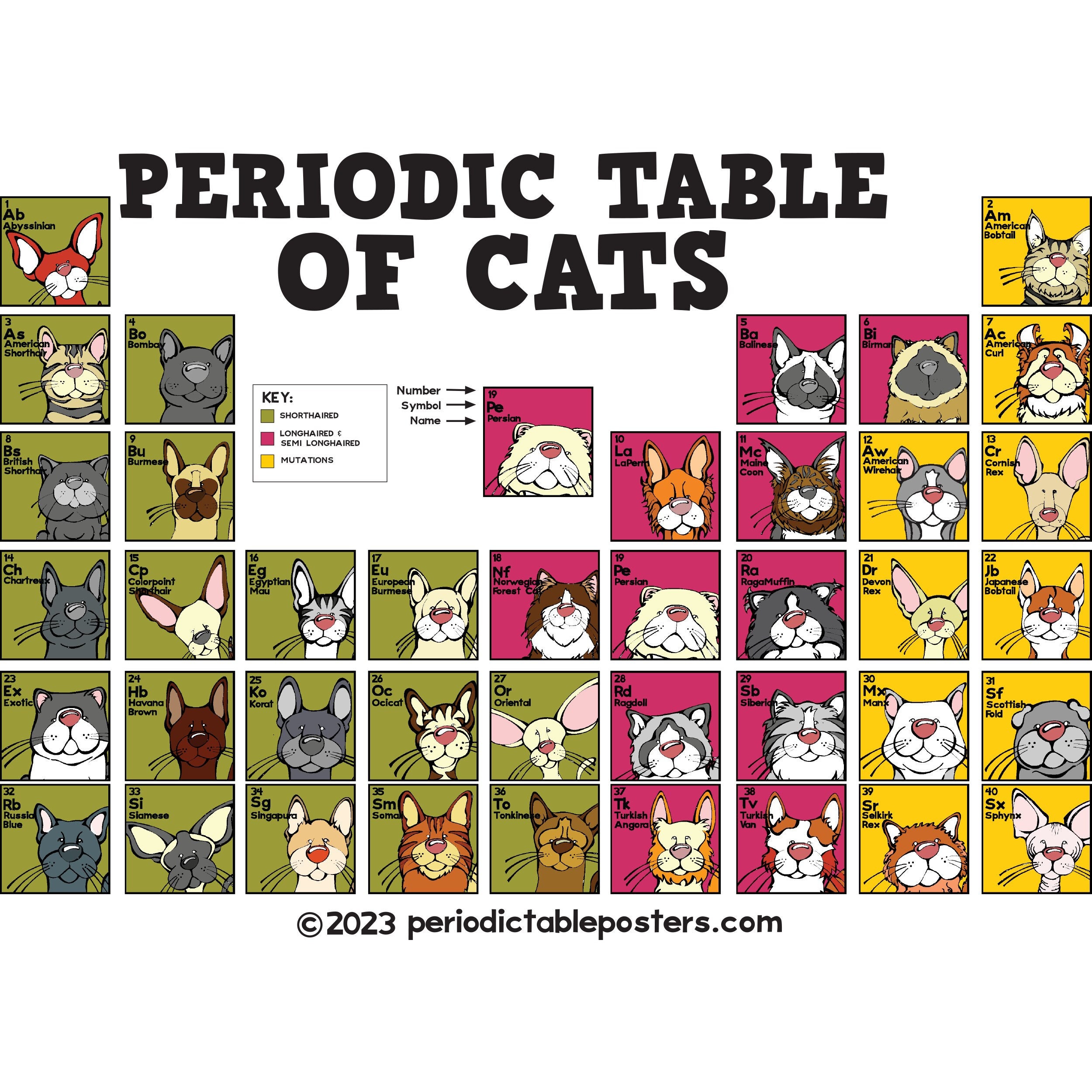 Periodic Table of Cats Poster - Etsy