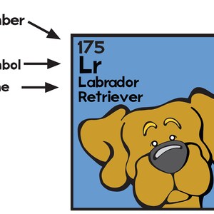 Periodic Table of Dogs Poster - Etsy Australia