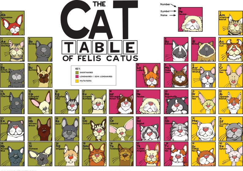 Periodic Table of Cats Poster - Etsy