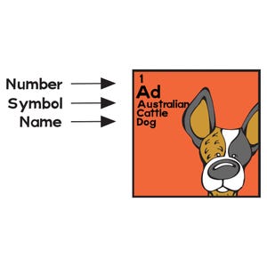 Periodic Table of Dogs Poster - Etsy