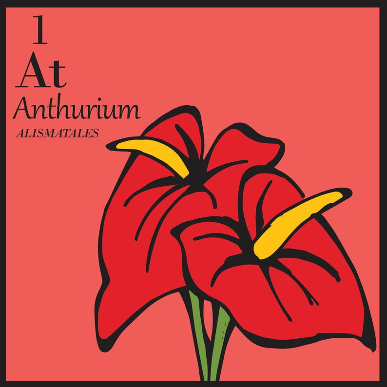 Periodic Table of Flowers Poster - Etsy