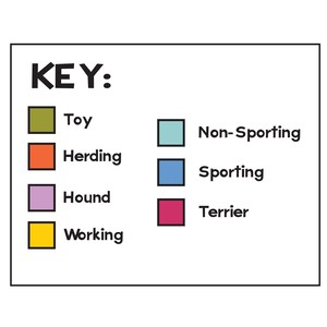 Dogs, Periodic Table of Dogs, Dog Poster - Etsy