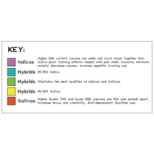Cannabis, Periodic Table of Cannabis, Cannabis Poster - Etsy