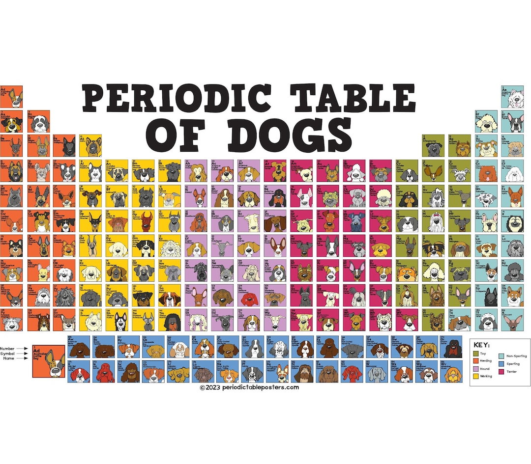 Periodic Table of Dogs Poster - Etsy