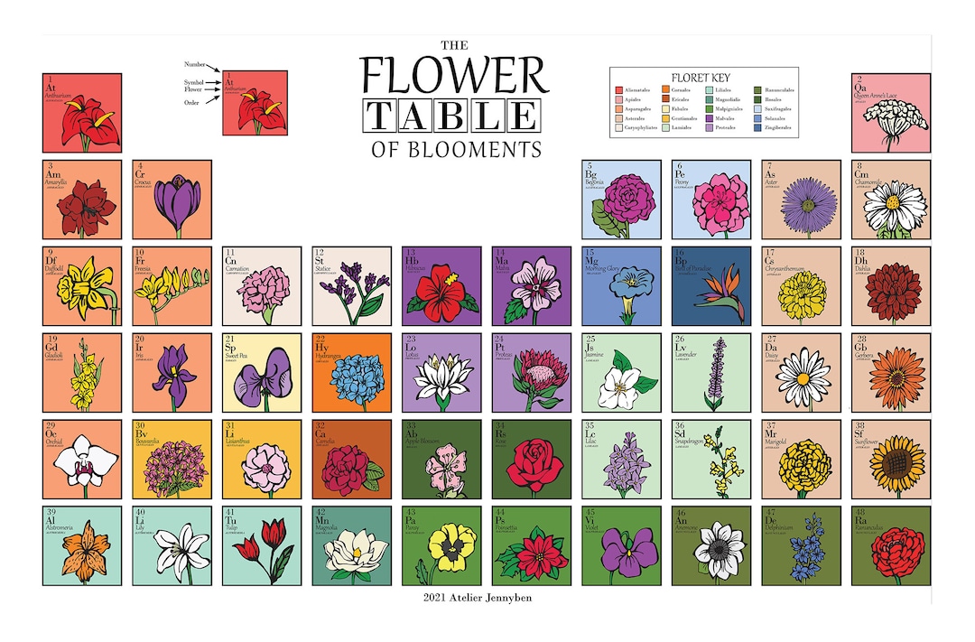 Periodic Table of Flowers Poster - Etsy