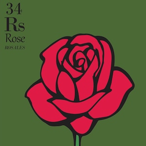 Periodic Table of Flowers Poster - Etsy