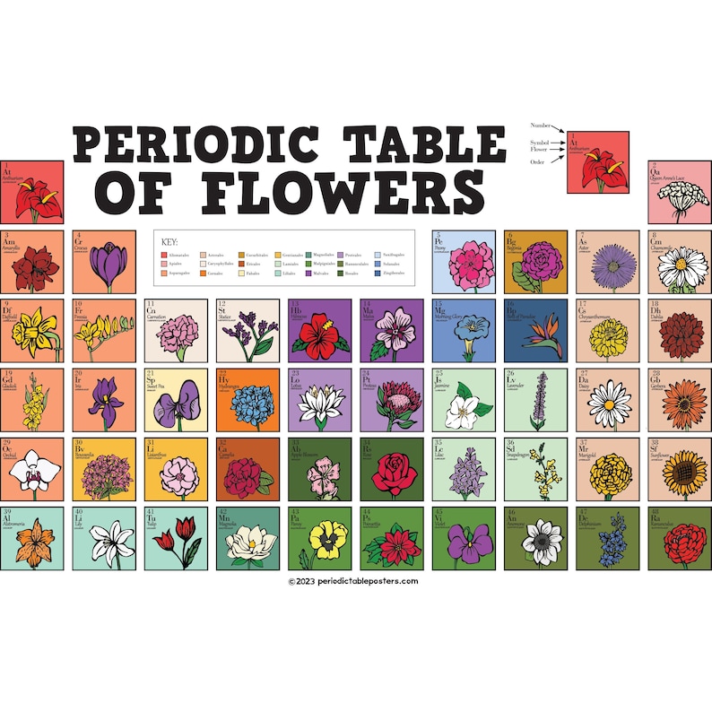 Periodic Table of Flowers Poster - Etsy