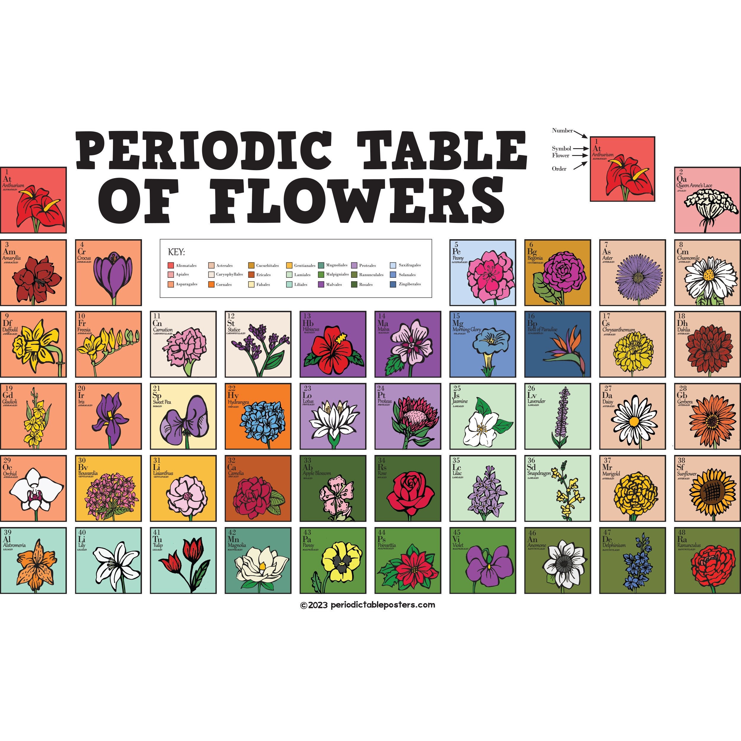Periodic Table of Flowers Poster - Etsy