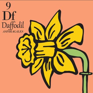 Periodic Table of Flowers Poster - Etsy