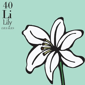 Periodic Table of Flowers Poster - Etsy