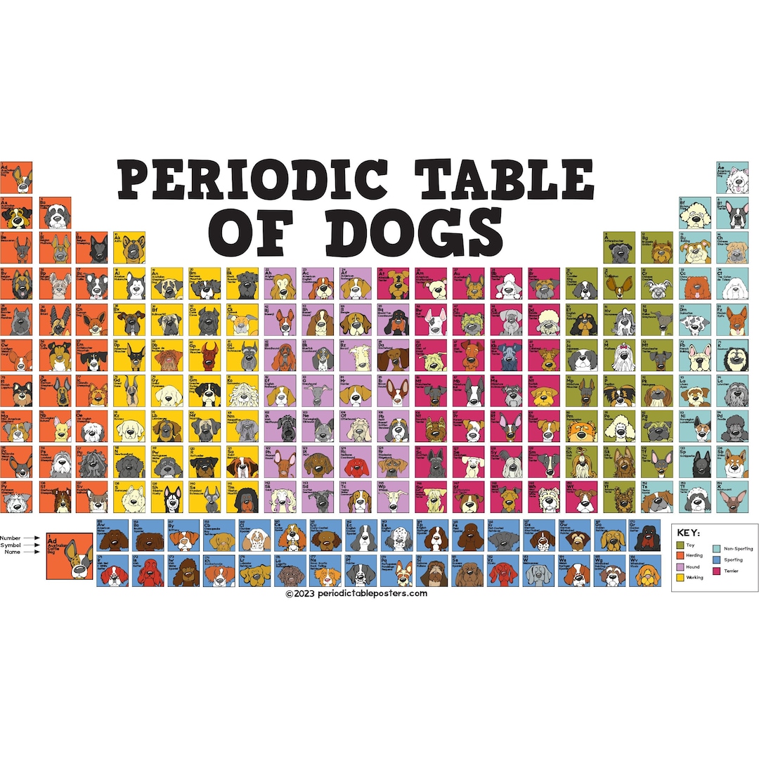 Periodic Table of Dogs Poster - Etsy