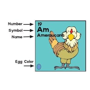 Chickens, Periodic Table of Chickens, Chicken Poster - Etsy Canada