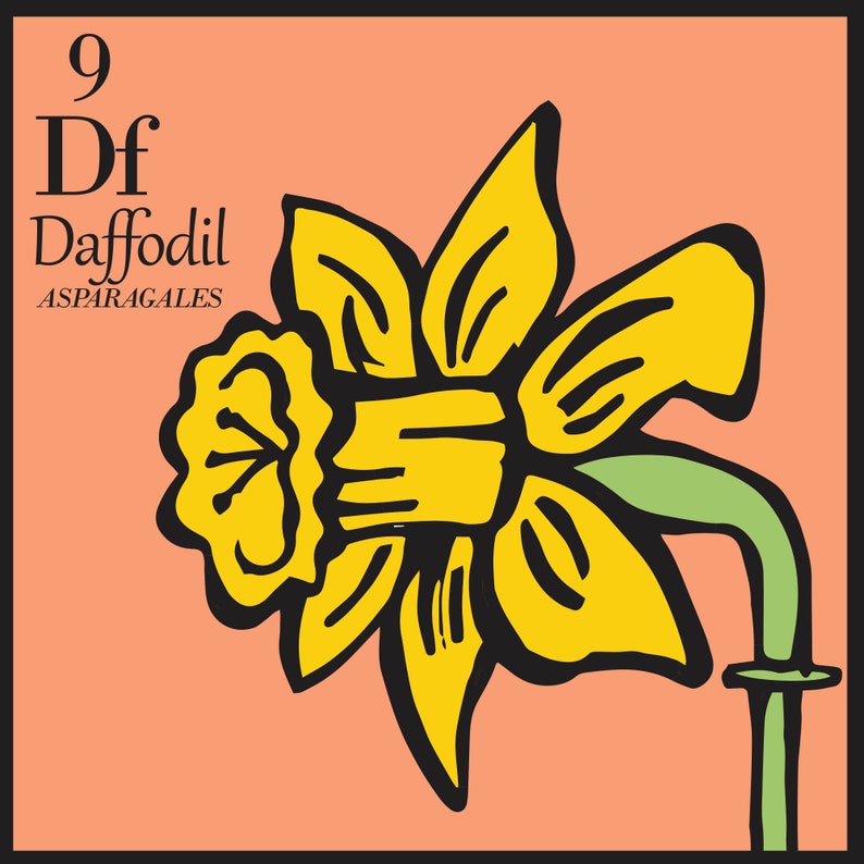 Periodic Table of Flowers Poster - Etsy