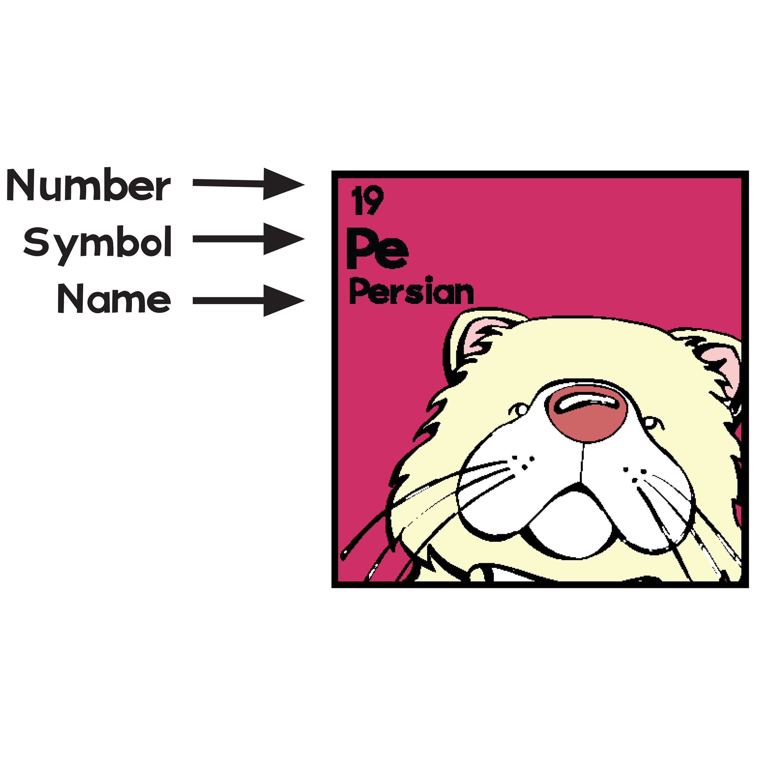 Periodic Table of Cats Poster - Etsy