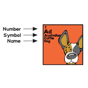 Periodic Table of Dogs Poster - Etsy