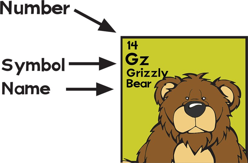 Periodic Table of Animals Poster - Etsy