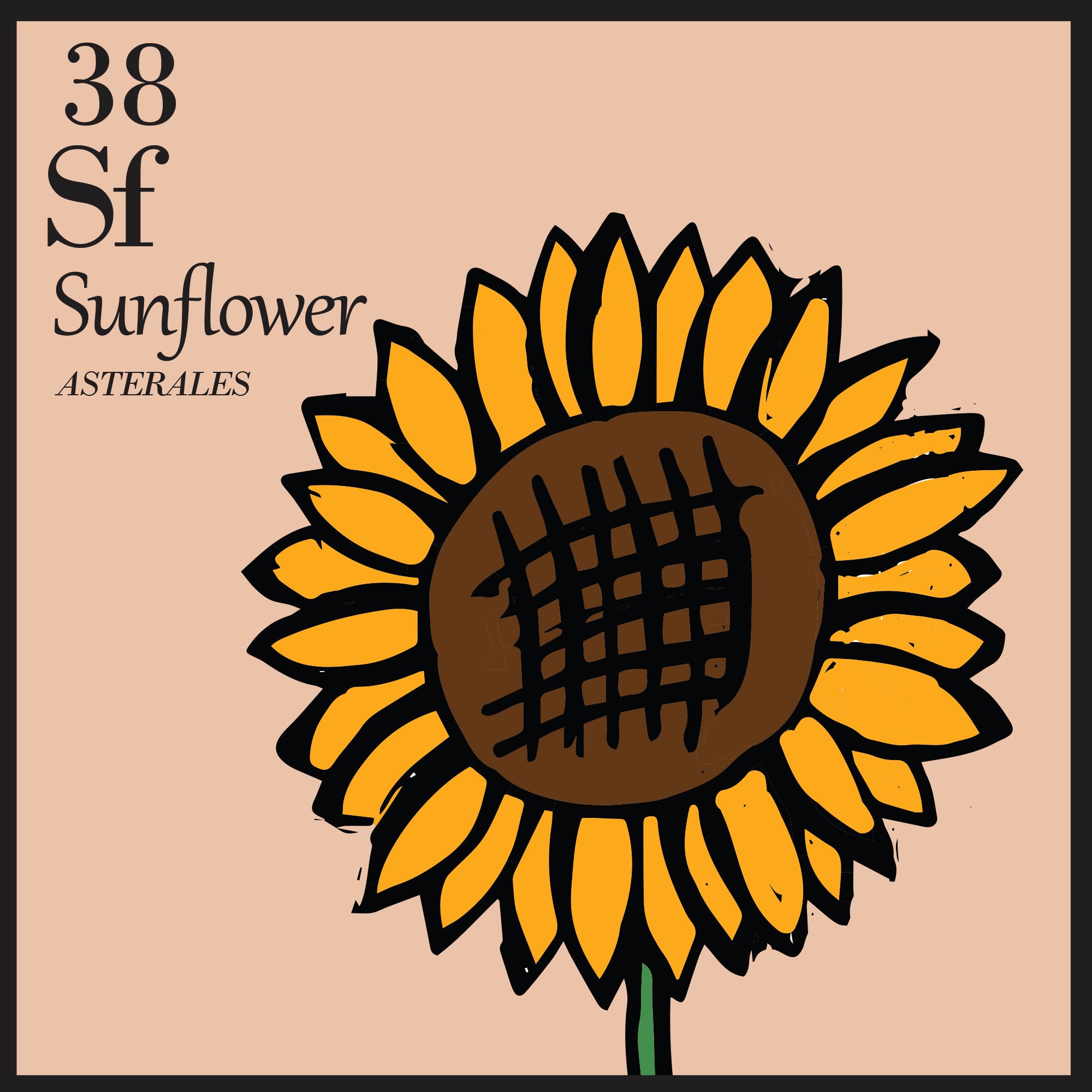 Periodic Table of Flowers Poster - Etsy