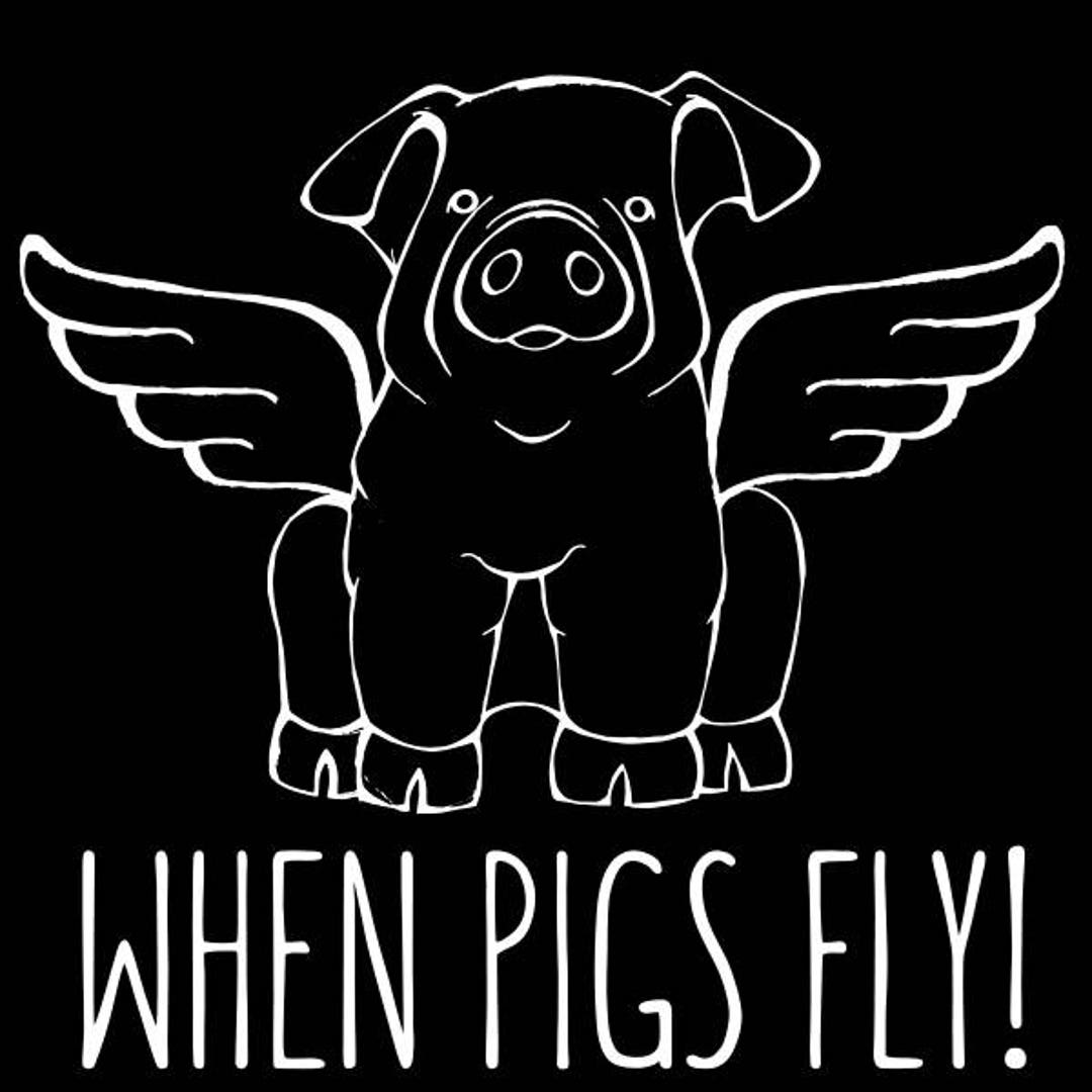 Chester White Pig - When Pigs Fly Decal - Etsy