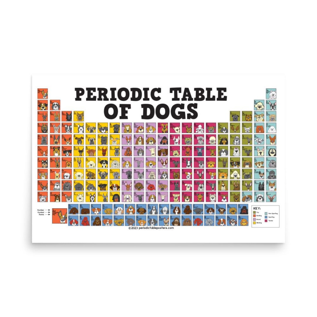 Periodic Table of Dogs Poster - Etsy