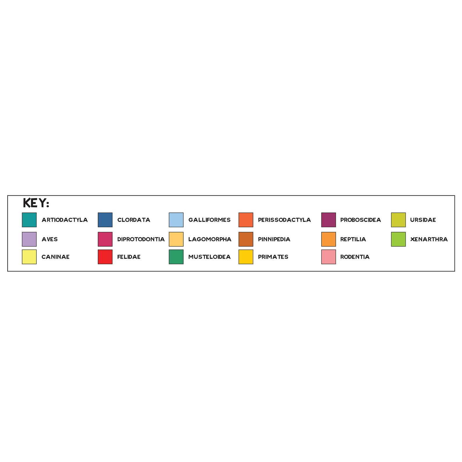 Periodic Table of Animals Poster - Etsy