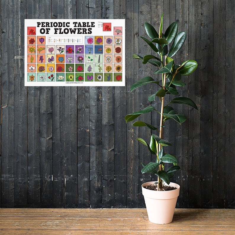 Periodic Table of Flowers Poster - Etsy