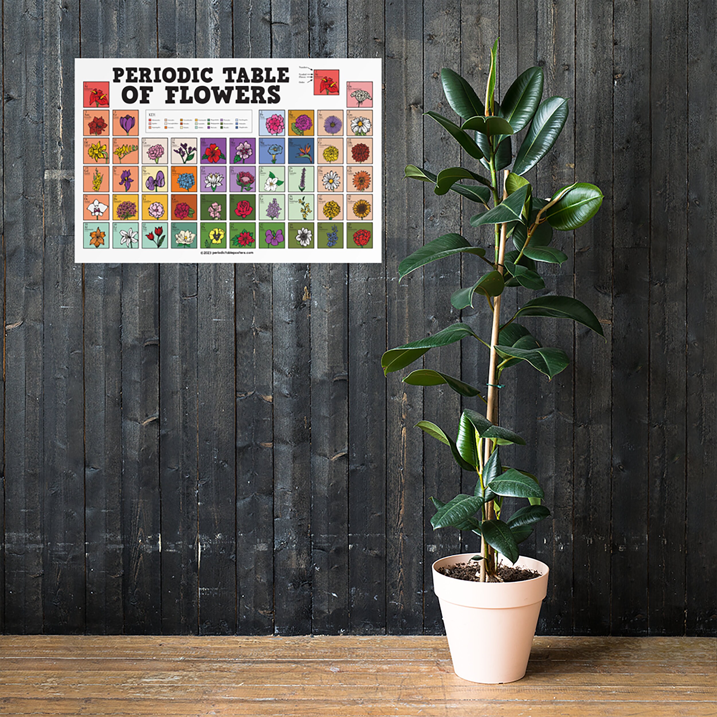 Periodic Table of Flowers Poster - Etsy